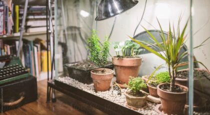 Creative Ideas For Repurposing Empty Fish Tanks – Easy DIY!