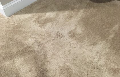 Apartment Carpet Replacement Cost (2024 Prices for Carpeting)