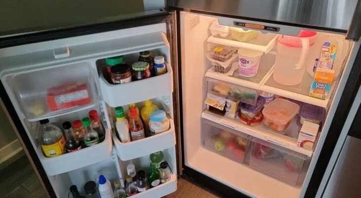 Refrigerator Making Knocking Noise? - Causes + Solutions!